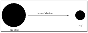 What Are Molecules And Ions In Chemistry-A Detailed Introduction