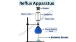 What Is Reflux In Chemistry? A Detailed Guide