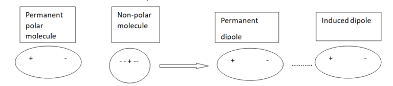 Intermolecular Forces | Types Of Intermolecular Forces-Helpful Guide