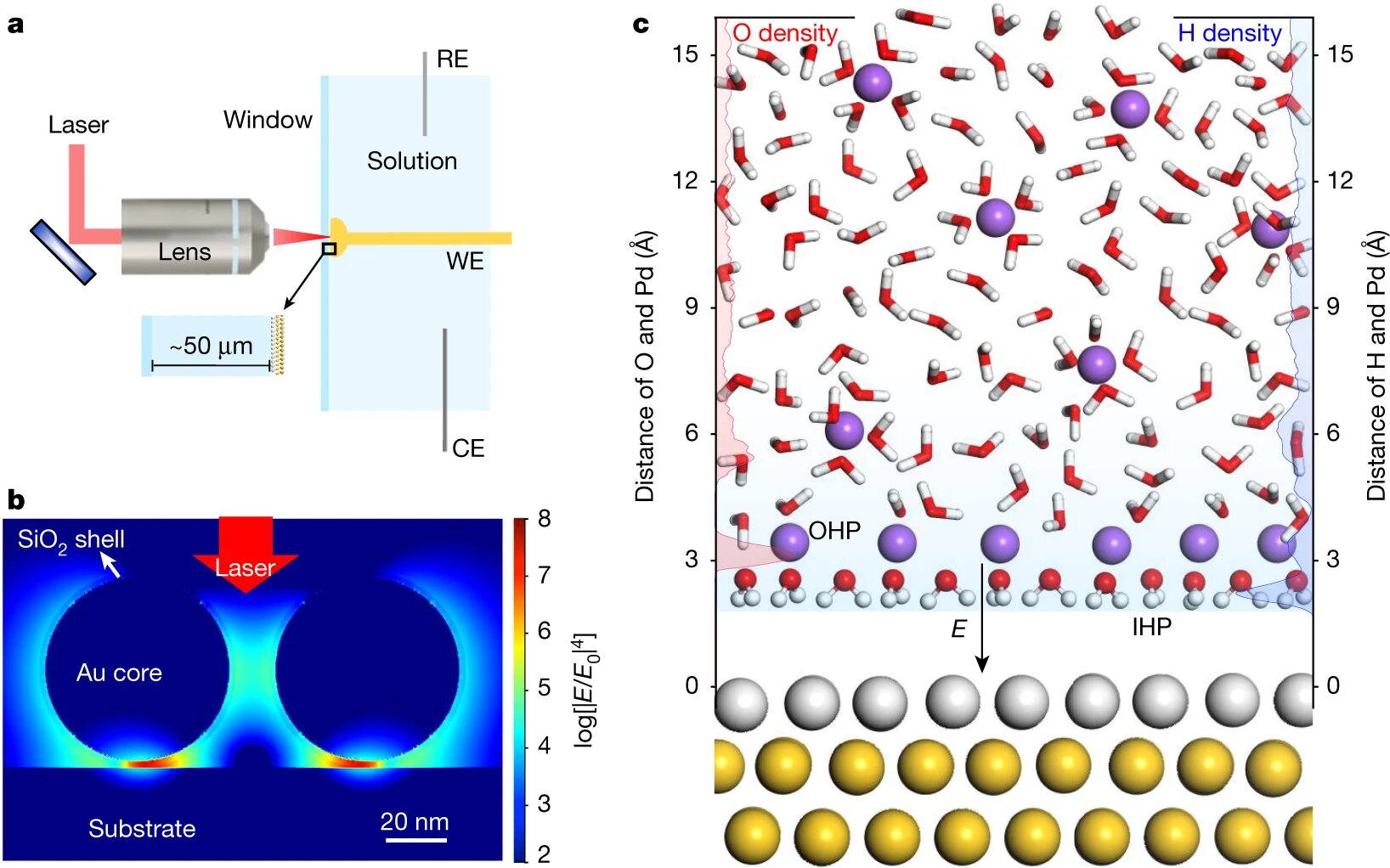 Raman Spectroscopy And Computational Techniques To Study Interfacial ...