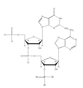 Introduction To RNA (ribonucleic Acid)-Structure-Types-Functions