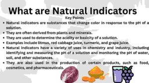 Natural Indicators-Examples, Working And Uses