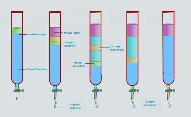 Chromatography-Principle, Types, Uses And History