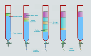 Column Chromatography-Principle, Types, Applications