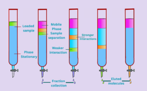 Column Chromatography-Principle, Types, Applications