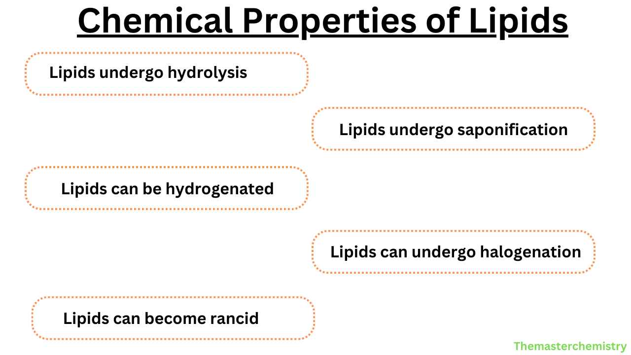 What Are Lipids?-Structure, Properties, Classification, Examples, And ...